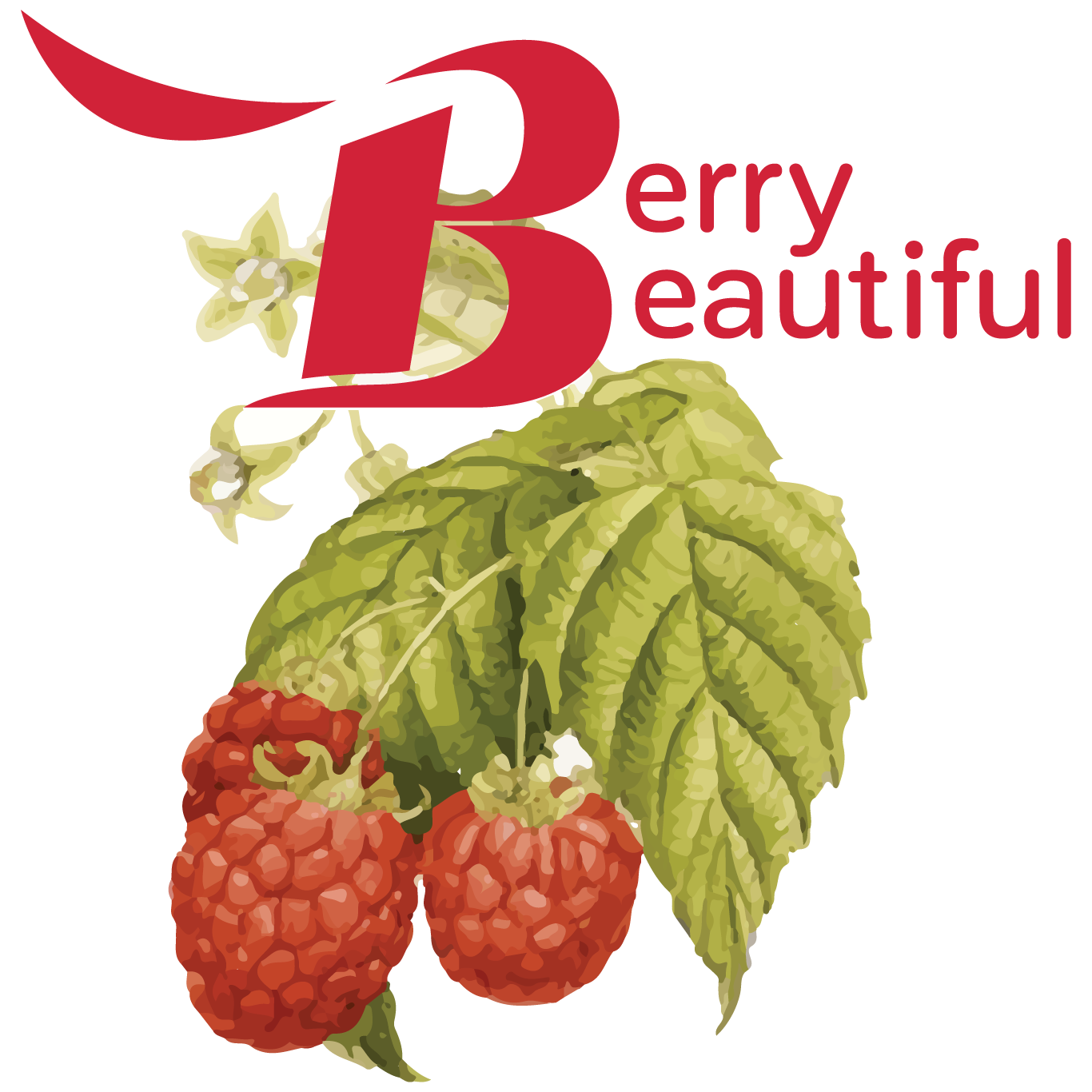 Raspberry Seed Powder